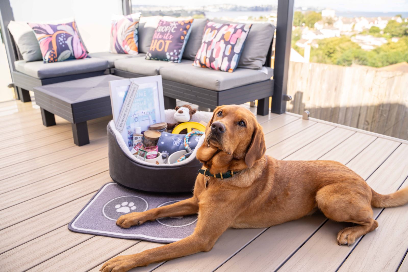 Introducing the UK’s First Luxury Holiday Lodges with Dog Concierge ...