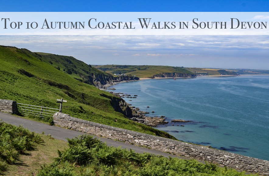 Top 10 Autumn Coastal Walks in South Devon - Visit South Devon