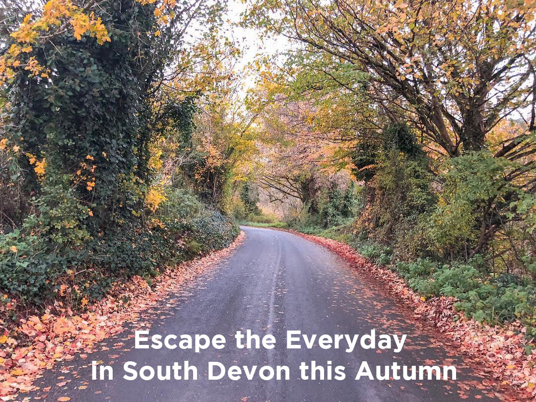 Escape the Everyday in South Devon This Autumn - Visit South Devon