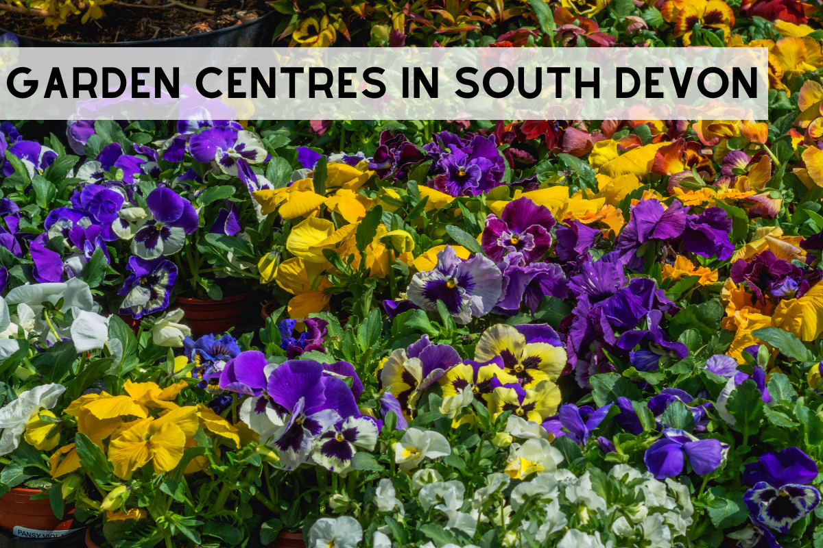 Garden Centres in South Devon - Visit South Devon