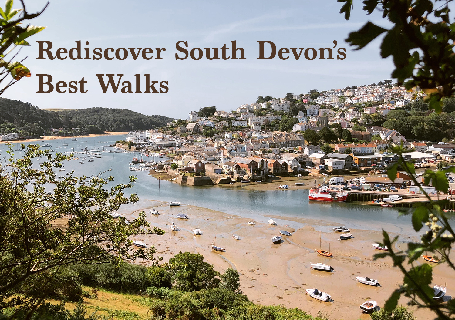 Rediscover South Devon's Best Walks - Visit South Devon