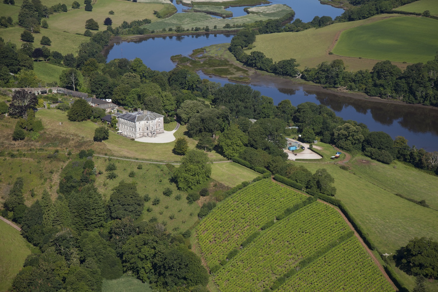 Sharpham Cheese: A Taste of Devon - Visit South Devon