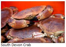 Why You Should Visit South Devon - Visit South Devon