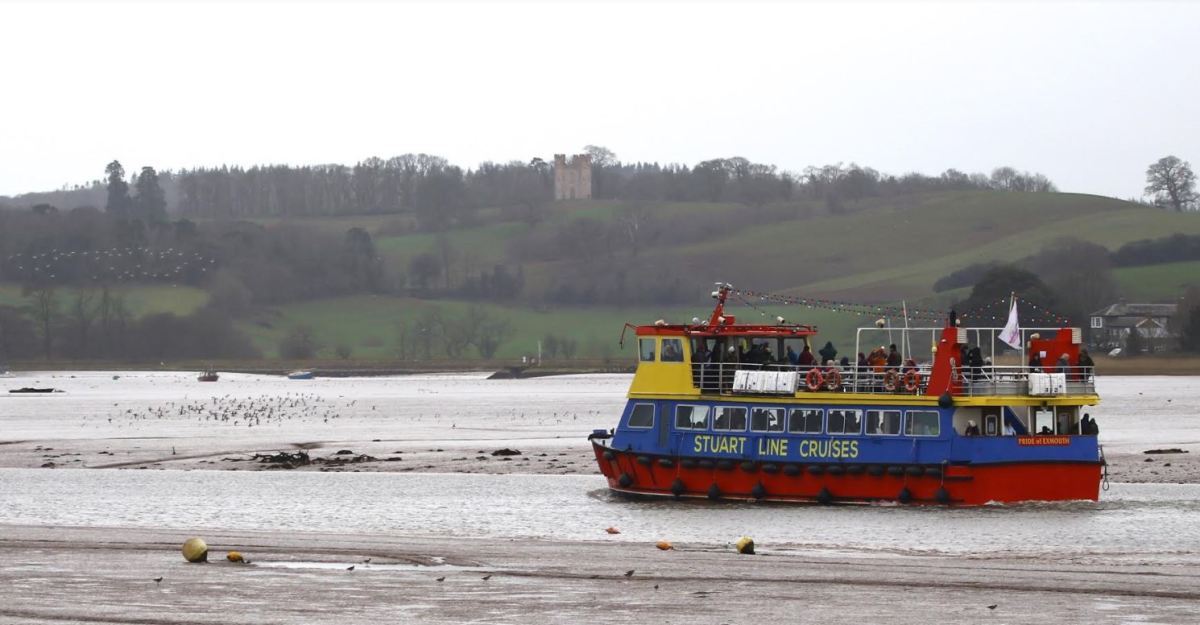 Guided Bird Watching in Devon with Stuart Line Cruises - Visit South Devon