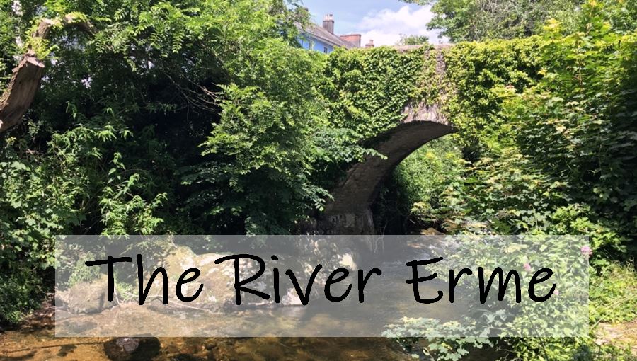 Explore the River Erme - Visit South Devon