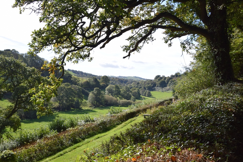 Top 10 Instagrammable Spots in Tiverton & the Surrounding Area - Visit ...