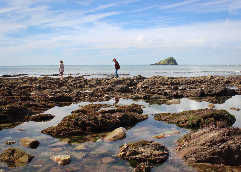 Top 10 Beaches to Go Rockpooling in South Devon - Visit South Devon