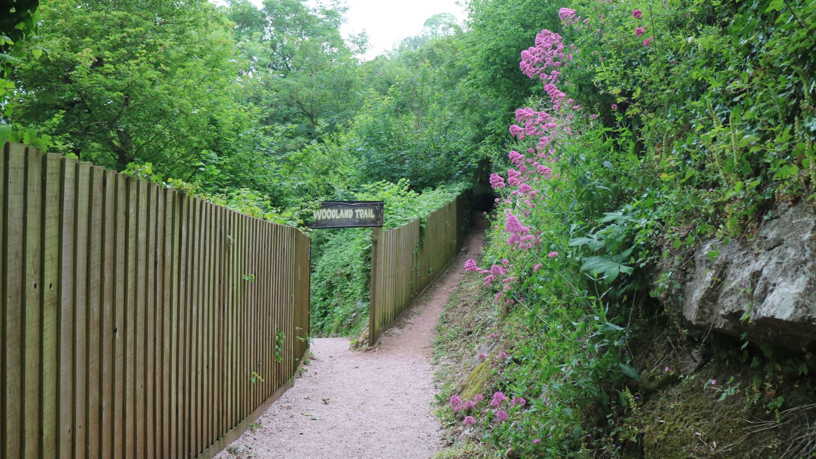 Exploring the Depths (and Delights!) of Kents Cavern Prehistoric Caves ...