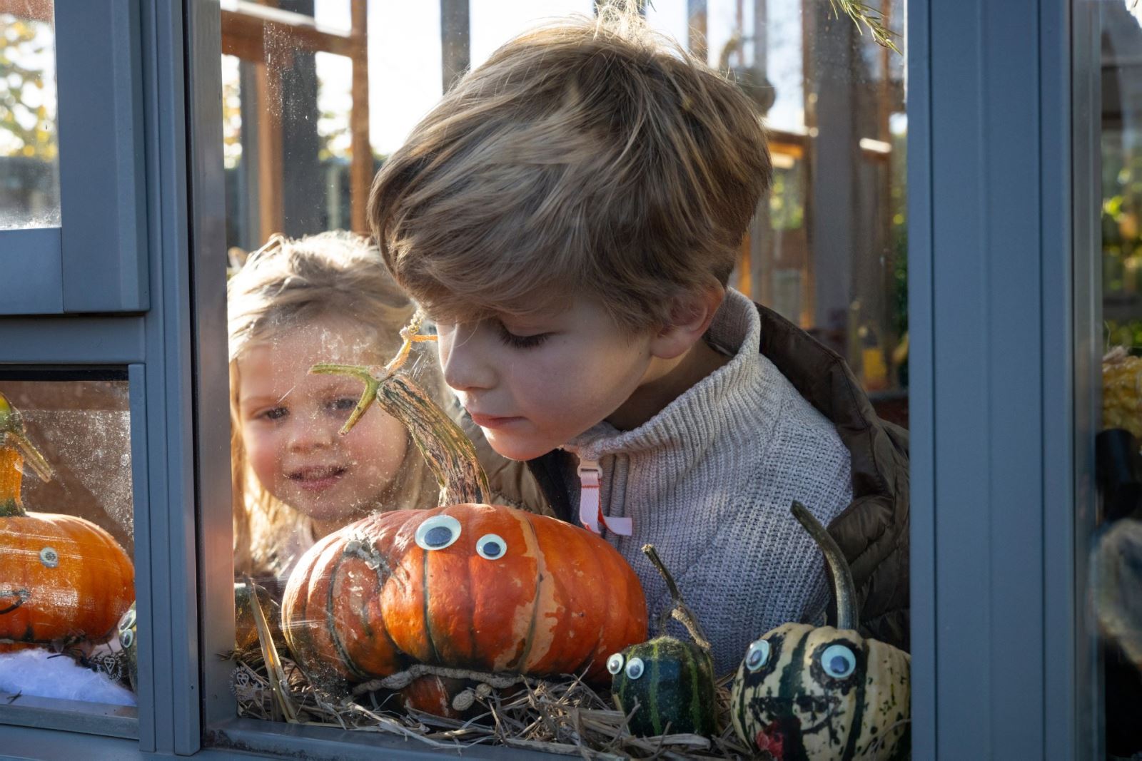 Spook-tacular Fun Awaits! Discover the Best Halloween & October Half ...