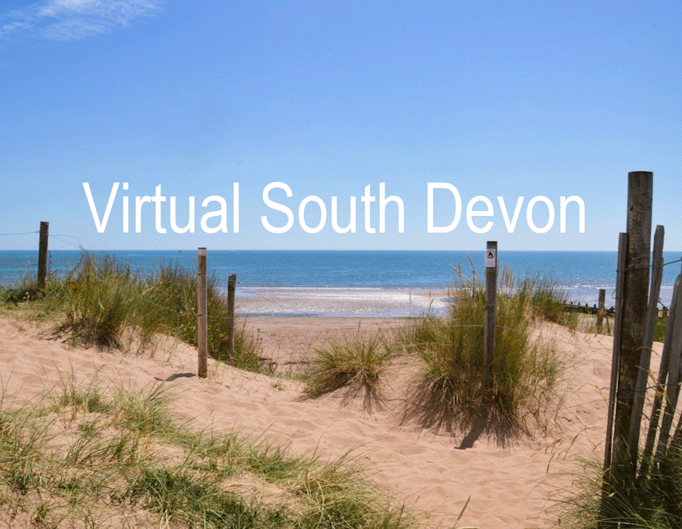 Covid-19 - Visit South Devon