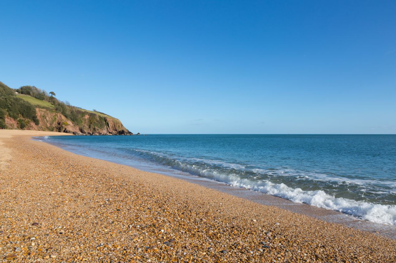 Are Dogs Allowed On The Beach At Blackpool