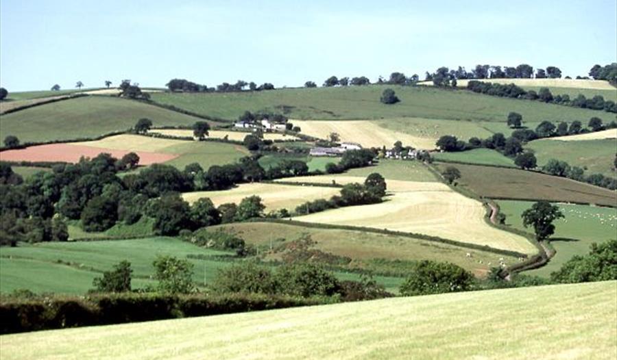 The Exe Valley Way - Visit South Devon