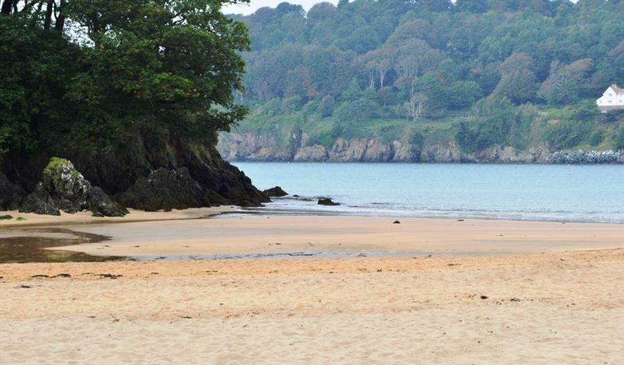 Mill Bay Beach - Visit South Devon