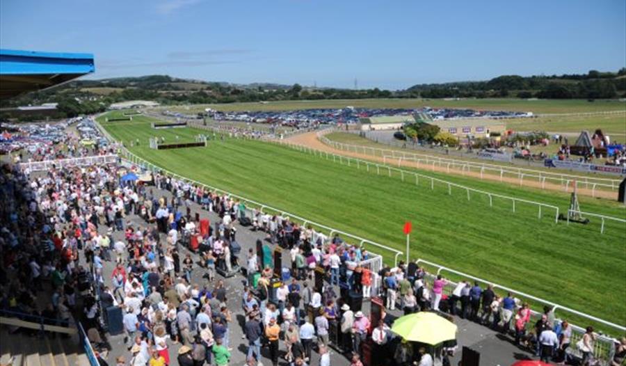 Newton Abbot Racecourse - Visit South Devon