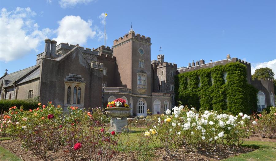 Woolly Week at Powderham Castle - Visit South Devon
