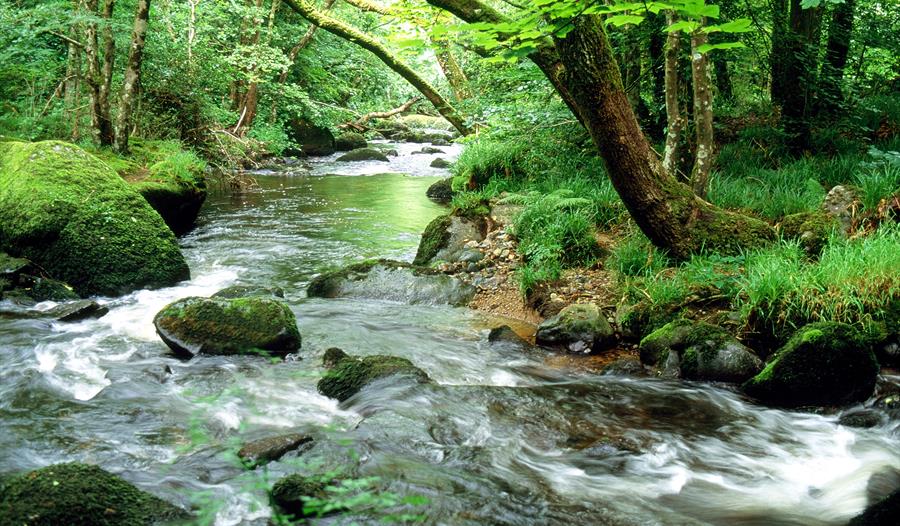 The River Teign - Visit South Devon