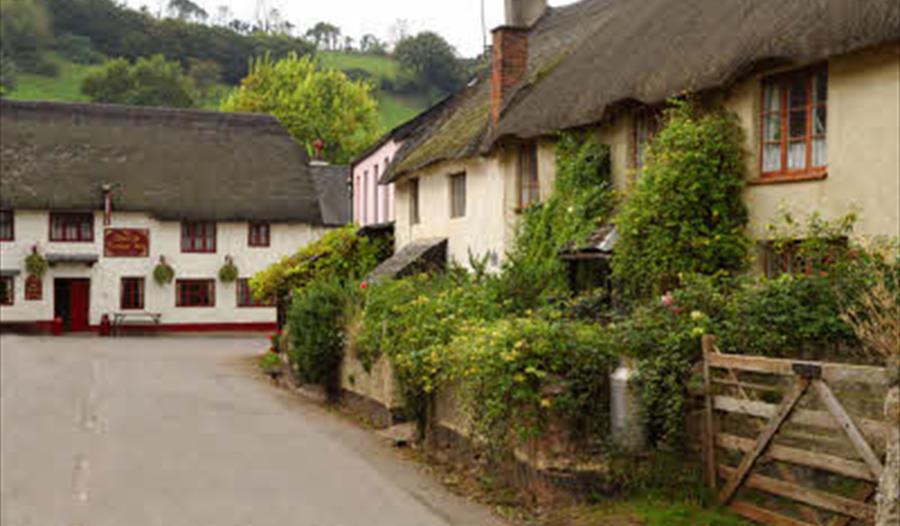 Stokeinteignhead - Visit South Devon