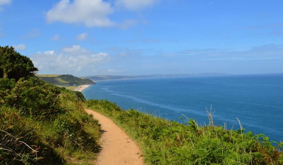 South West Coast Path - Visit South Devon