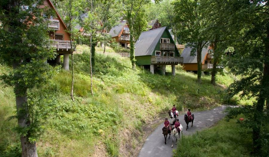 Finlake Holiday Resort - Newton Abbot - Visit South Devon