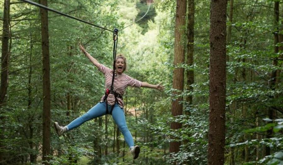 Go Ape! Outdoor Activities Haldon Forest - Visit South Devon